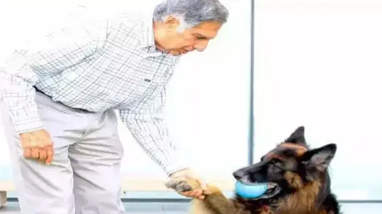 Ratan Tata's Will: Unlimited Care For Pet Dog Tito; Assistant Naidu ...