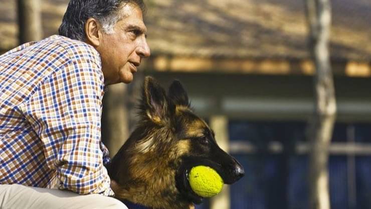 What Ratan Tata's Endless Love For Tito, Goa Taught 'Crazy Rich' Pet ...