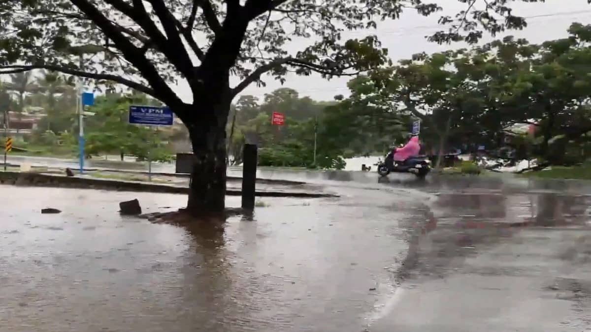 Kerala Weather Update: IMD Issues Red Alert for 5 Districts Till June ...