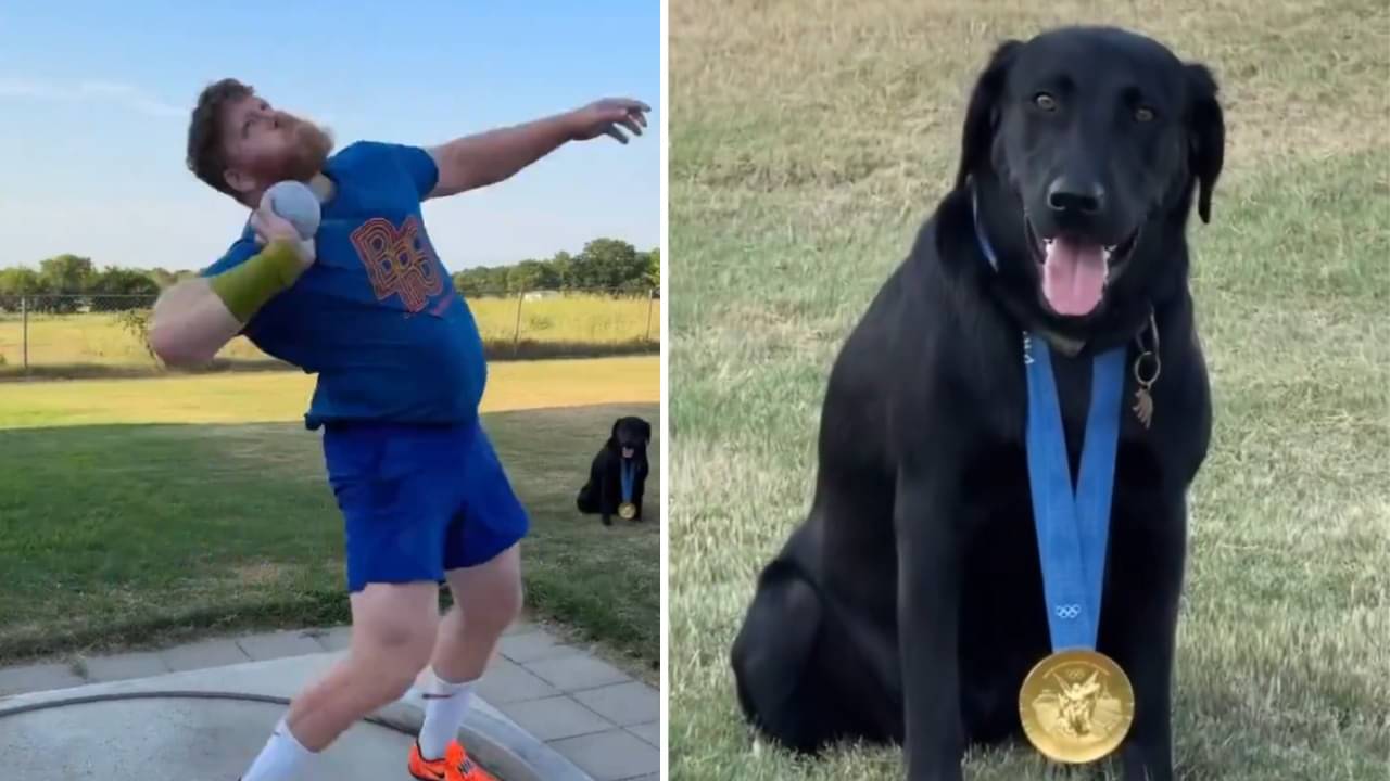 Paris Olympics Gold Medalist Puts His Medal Around The Neck of His Pet ...