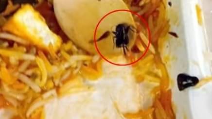 Man Found Insect in Biryani at Rani Kamlapati Railway Station Food ...