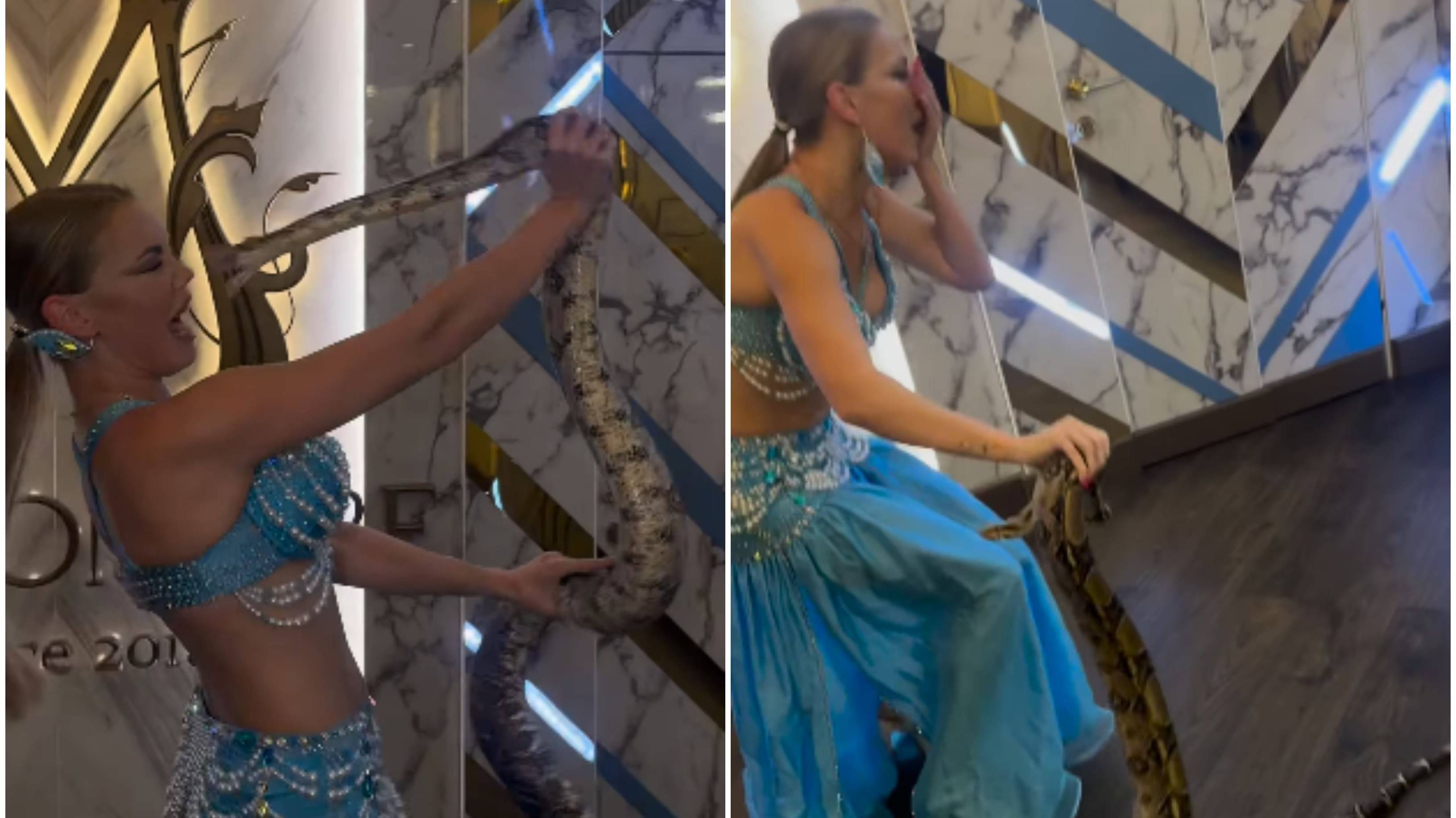 Viral Video: Russian Dancer Goes for Kiss, Gets Bitten by Snake Instead | Republic World