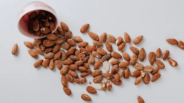 Soaked Or Dry Almonds: What Expert Tell You To Have In Summers ...