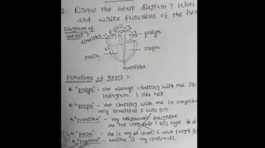 Student's 'Heart Diagram' Goes Viral on Internet, Netizens Can't Resist ...