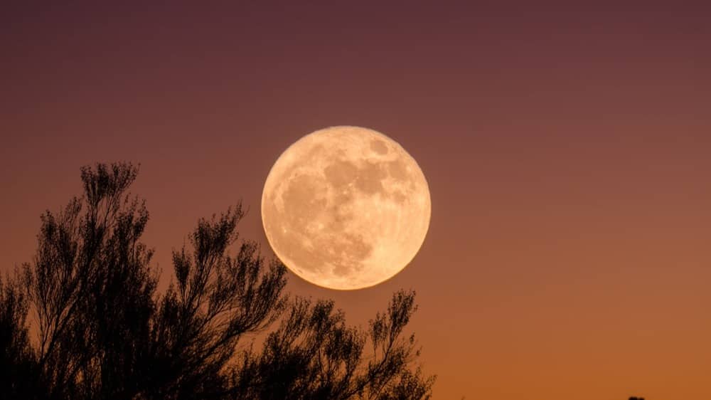 Beaver Moon to Light Up the Sky Tomorrow: When And Where to Watch Final ...