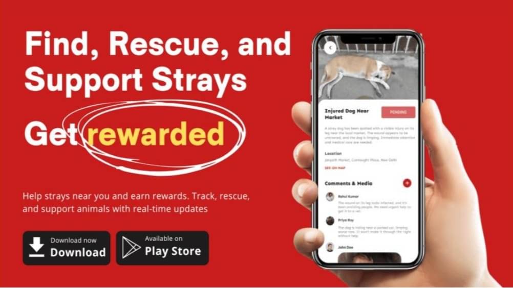 Tech Meets Activism: How Strayz is Transforming Stray Animal Welfare in India | Republic World