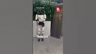Elon Musk Shares Video Of Tesla Bot Optimus Catching A Ball | Watch ...