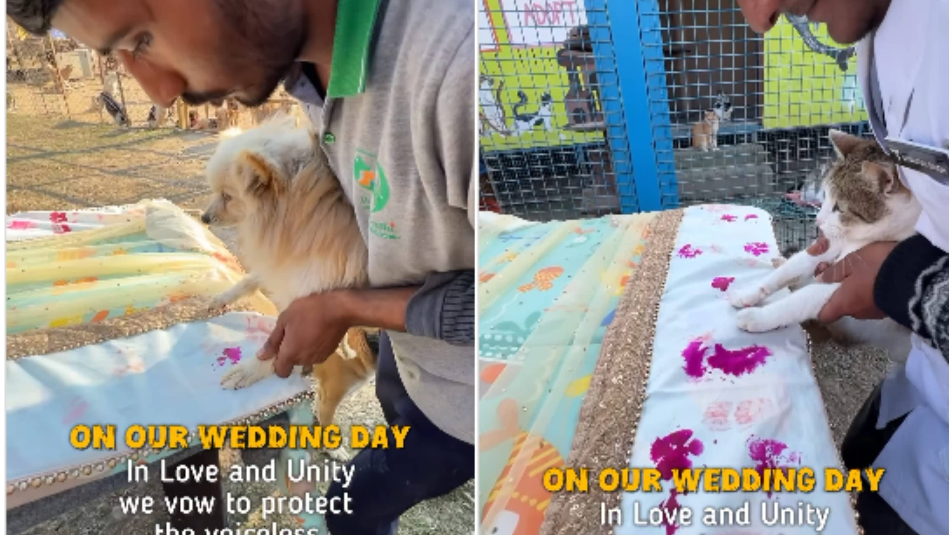 Vows, Paw Prints & a Rescue Pup: Why This Dehradun Bride’s Wedding Is ...