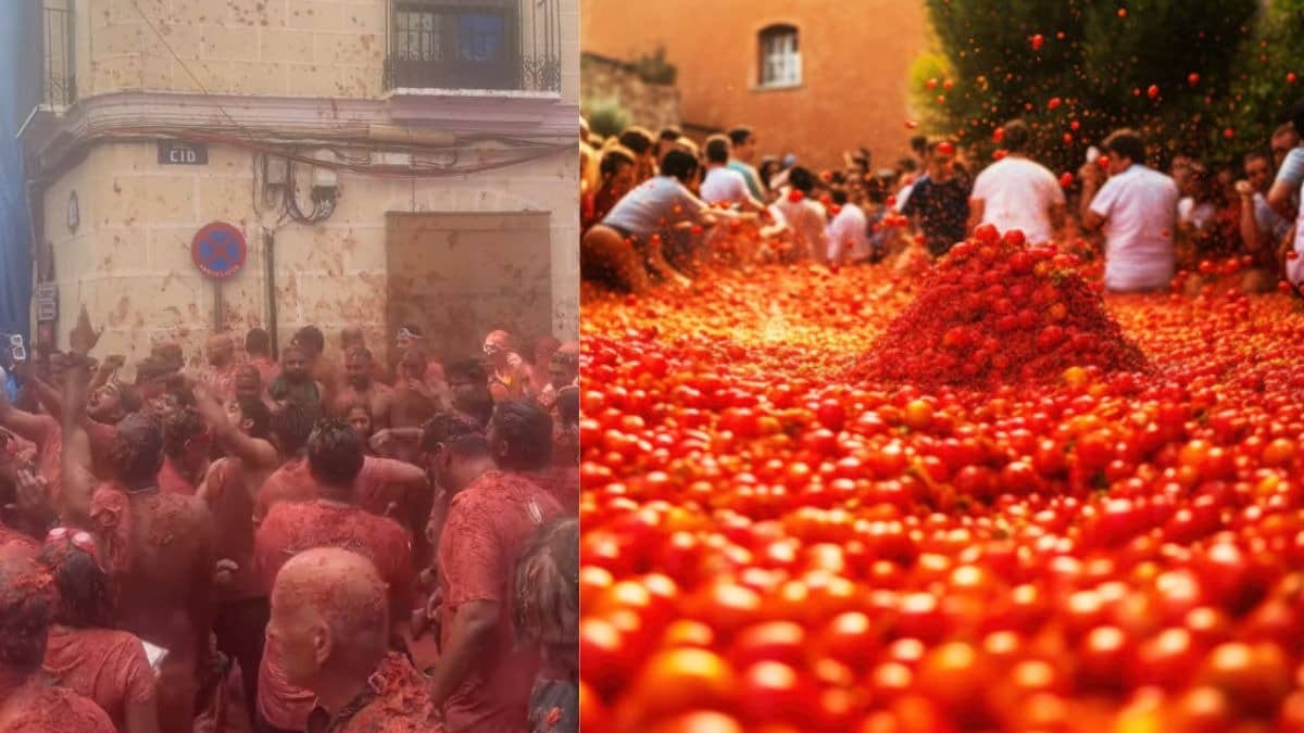 'Jooma Chumma' At Spain's Tomatina Festival By Indian Crowd Sparks ...