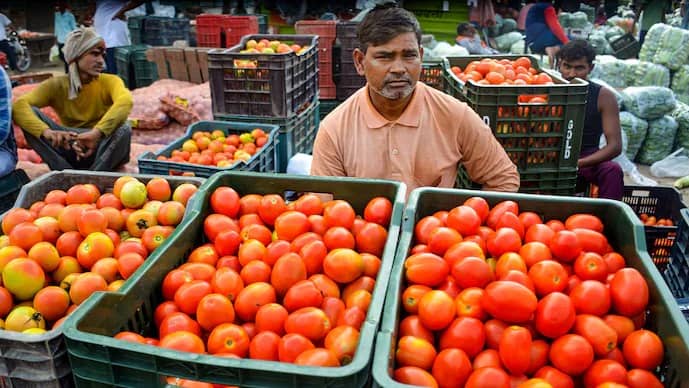 Tomato Prices Soar to Rs 100 Per Kg in Delhi As Rains Hit Supplies | Republic World
