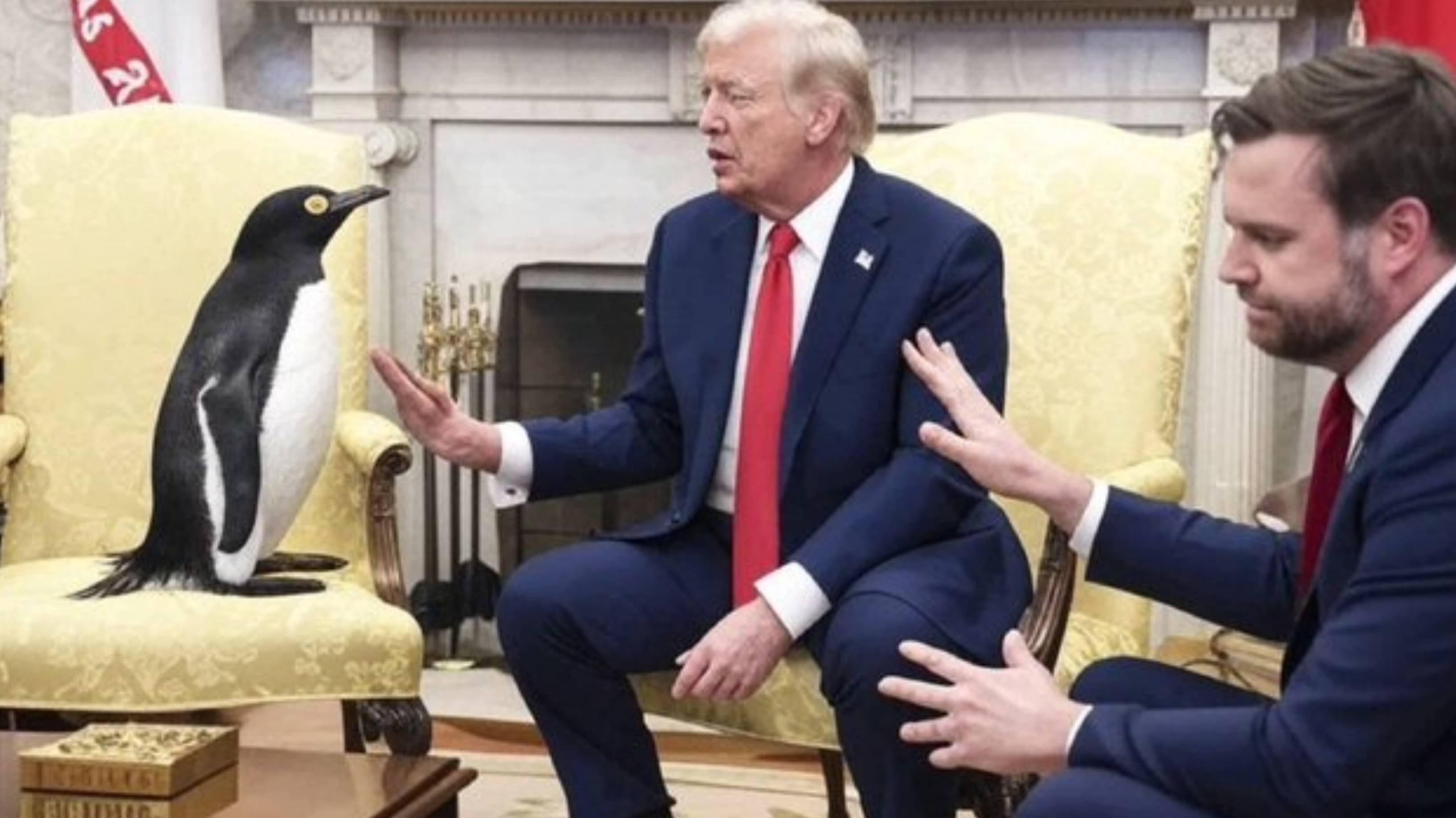 Trump's Tariff Memes Go Viral, Show Penguins Protest Against It. Know ...