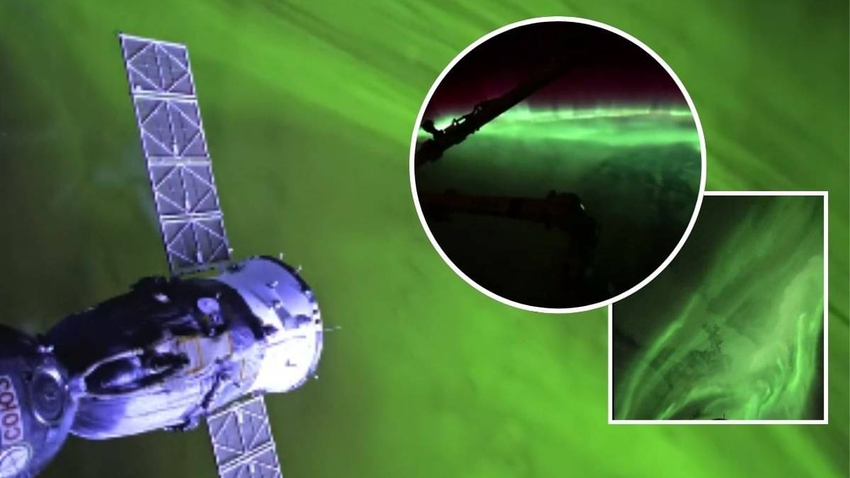 WATCH | Not Just Earth! Northern Lights Illuminate Space, NASA ...
