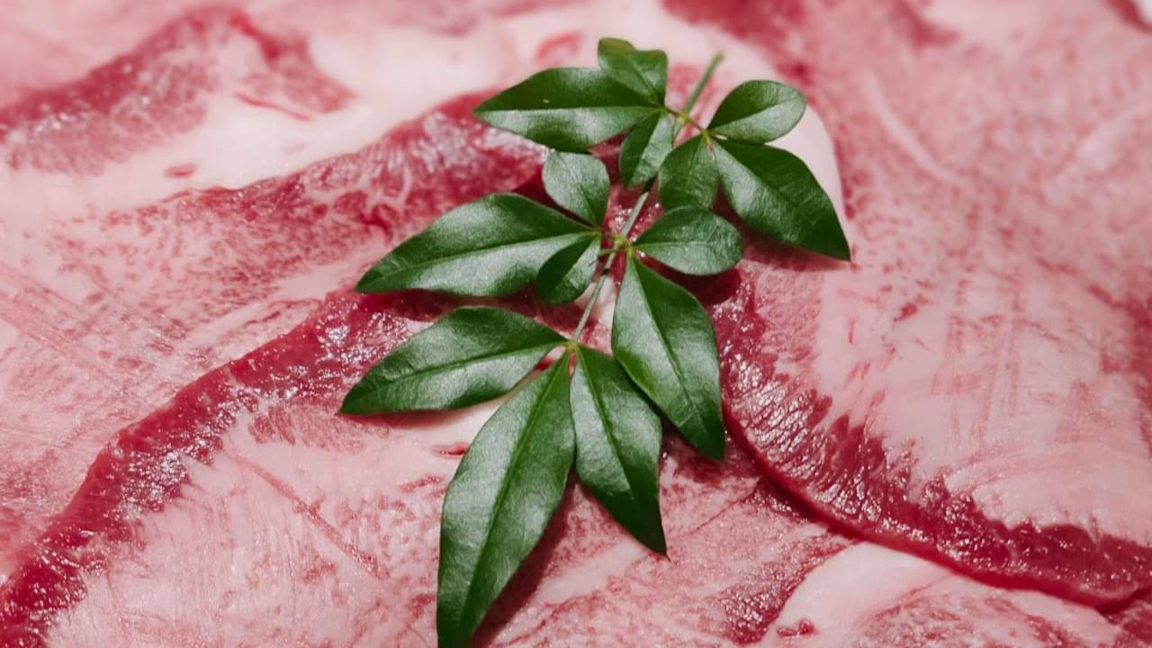 7 Dangers Of 'Meat-Only Meal' Plan According To Harvard | Republic World