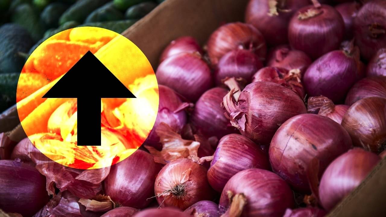 Onion prices hit Rs 58/kg in Delhi; nationwide average at Rs 49.98/kg | Republic Business