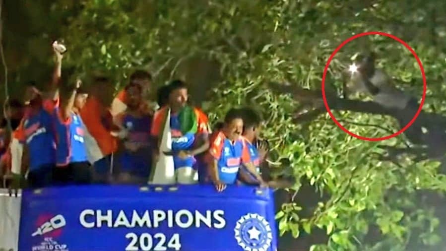 Team India players get scared as one fan hides on a tree, internet says ...