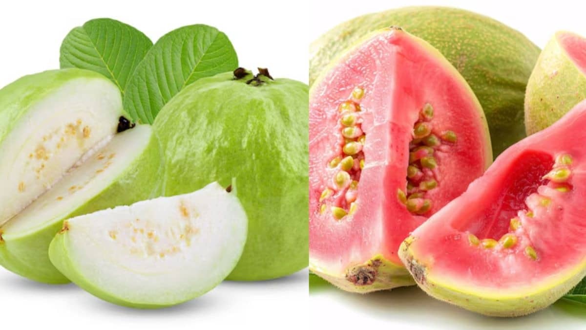 White vs Pink Guava Benefits: दिल से लेकर आंखों तक का इलाज... सफेद या ...