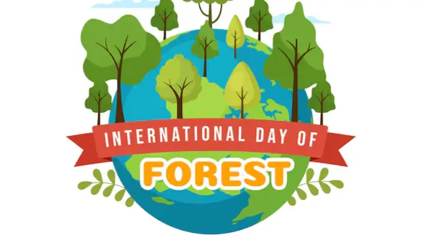 World Forest Day 2025: Date, History, Significance, and 2025 Theme ...