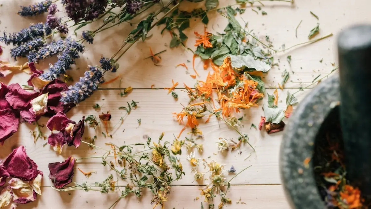 World Homeopathy Day 2025: 8 Reasons People Seek Homeopathic Treatments ...