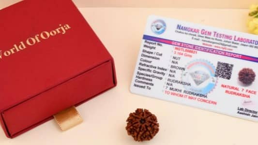 Balance your Chakras and bring Inner Peace with World of Oorja's Rudraksha | Republic World