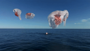 And They're Back: Sunita Williams, Butch Wilmore Return To Earth As Crew 9 Makes Stunning ...