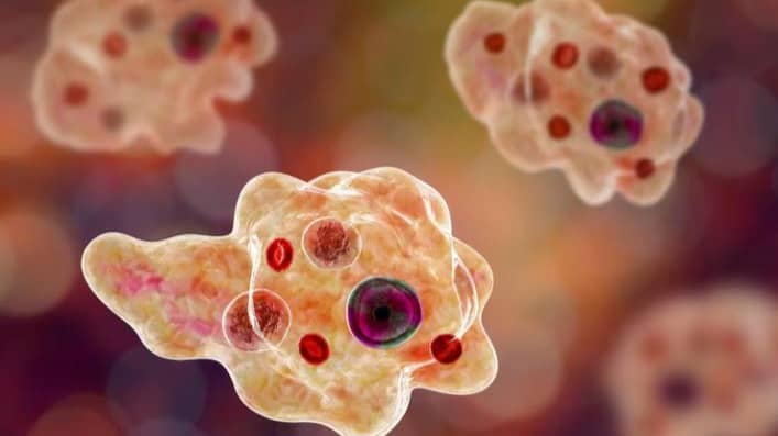 Kerala Issues Special Guidelines for Treatment of Disease Caused by ...