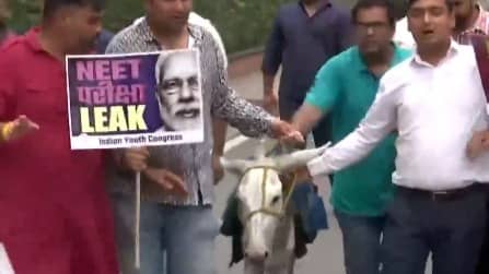 Youth Congress Members Protest With Donkey, Chant 'Ab Ki Baar Leakage ...