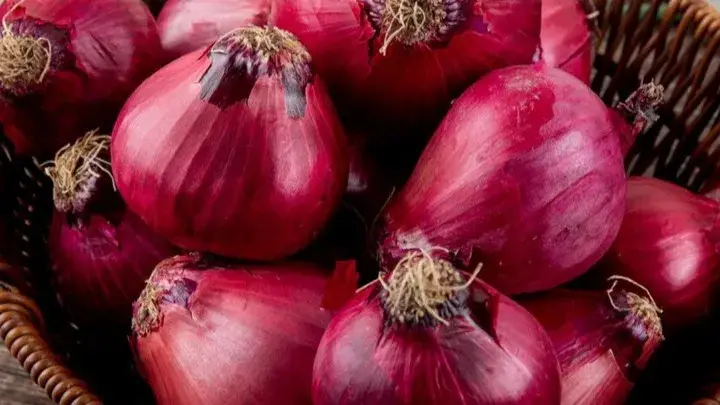 Government extends export ban on onions to stabilise domestic prices | Republic World