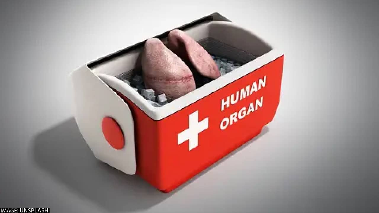 Kota: Brain Dead Man's Organ Donation Gives New Lease of Life to 3 ...