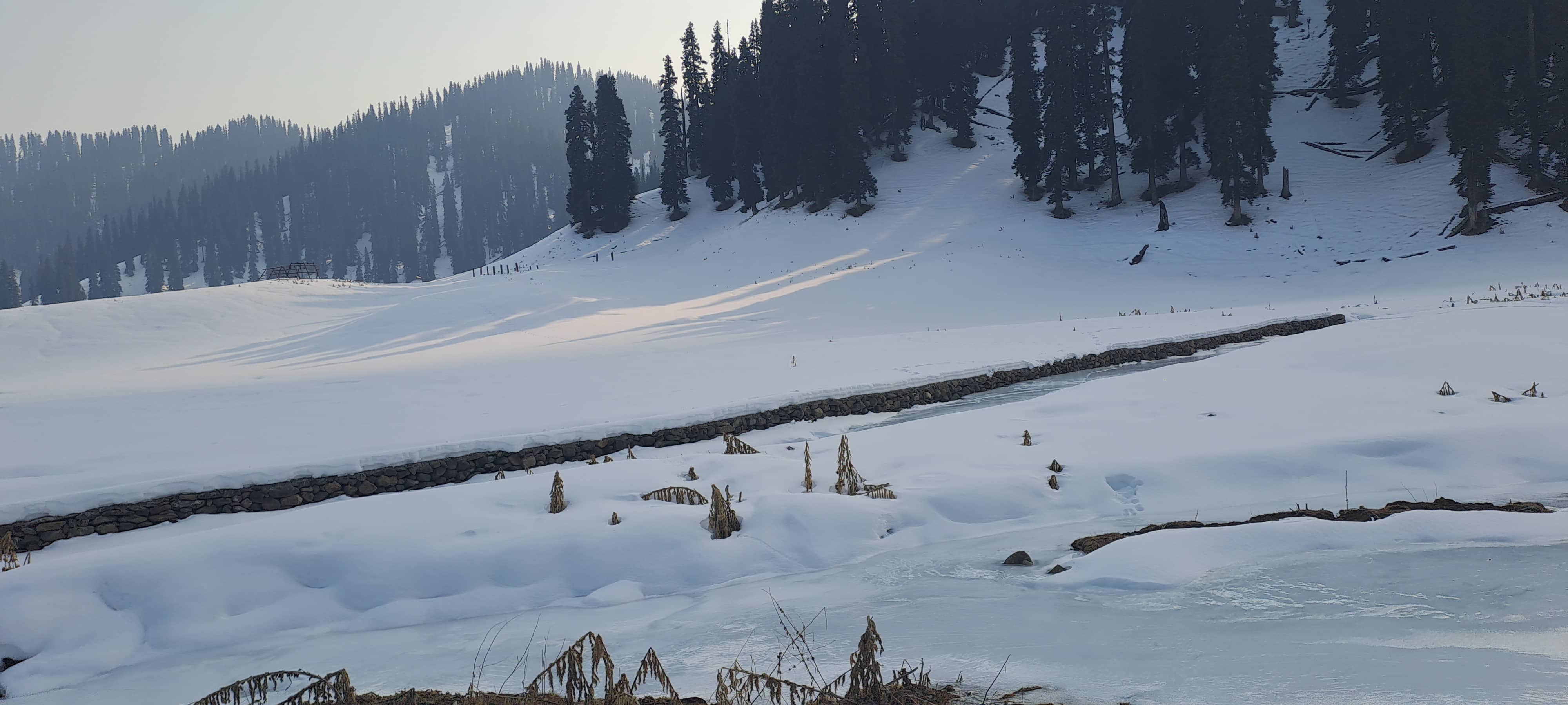 Bangus Valley: A Hidden Gem in Kashmir's Snowless Winter- Republic World