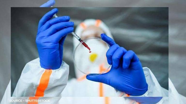 What is Chapare Virus? Symptoms, treatment, death, prevention & more ...