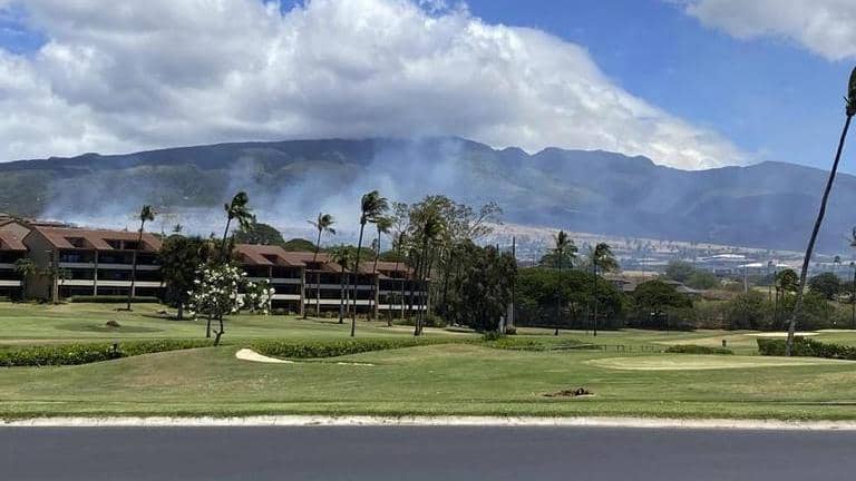 Firefighters extinguish a Maui brush fire that forced evacuations near ...