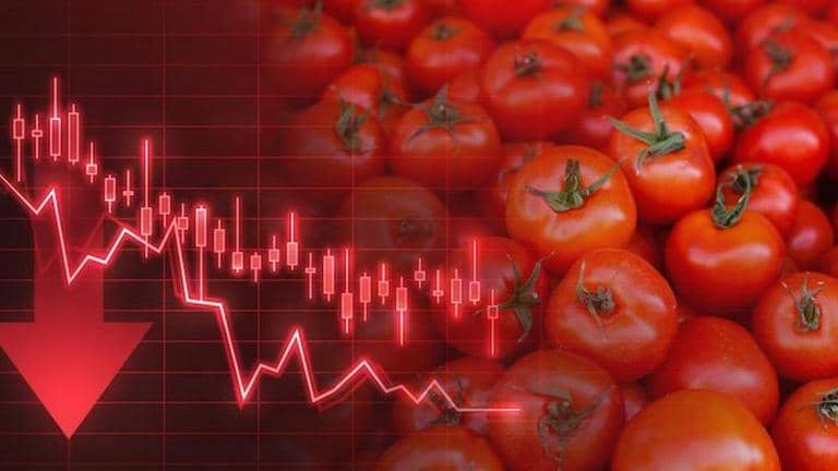 Tomato prices take a nose dive? From Rs 250 to Rs 30 per kg | Republic ...