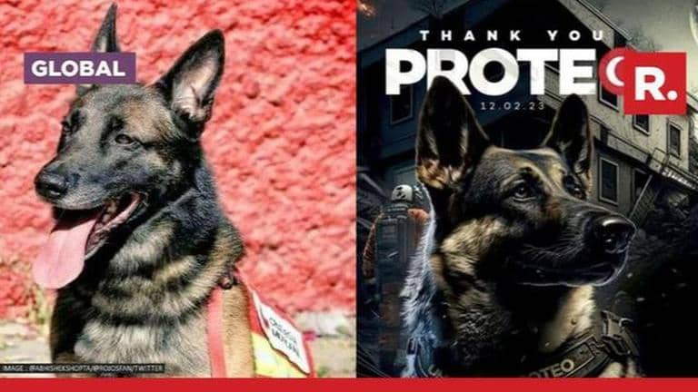 Mexico pays tribute to heroic rescue dog Proteo who died on duty in ...