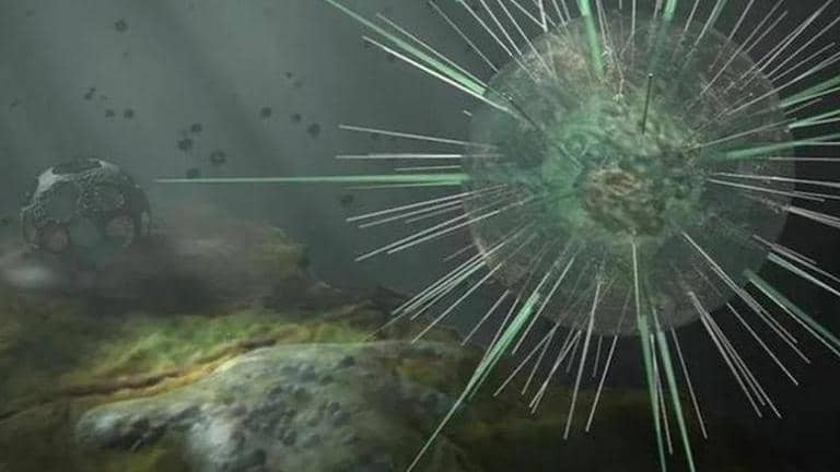 Symptoms of deadly brain-eating Amoeba Naegleria Fowleri, everything ...