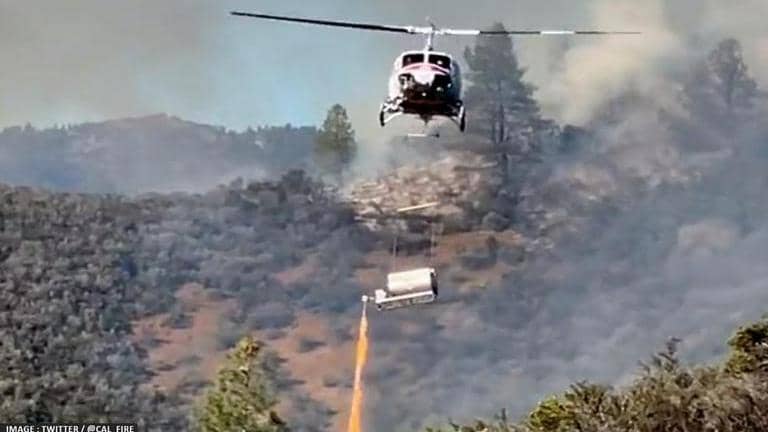 Canada wildfires: Why are firefighting helicopters throwing flames at ...