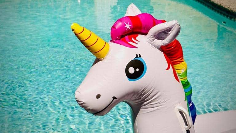 Beyond the valuation bubble: India’s 7 unicorns which are actually ...