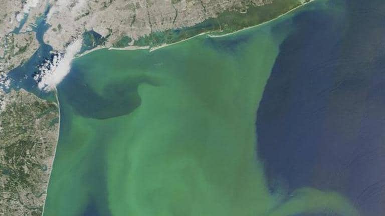NASA needs help to find Algal blooms & they will pay you to find them ...