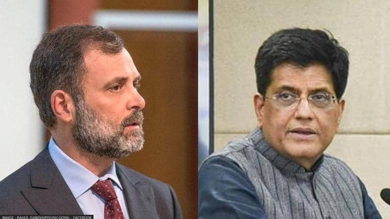 'Rahul must apologise for defaming Parliament': Piyush Goyal on Cong ...