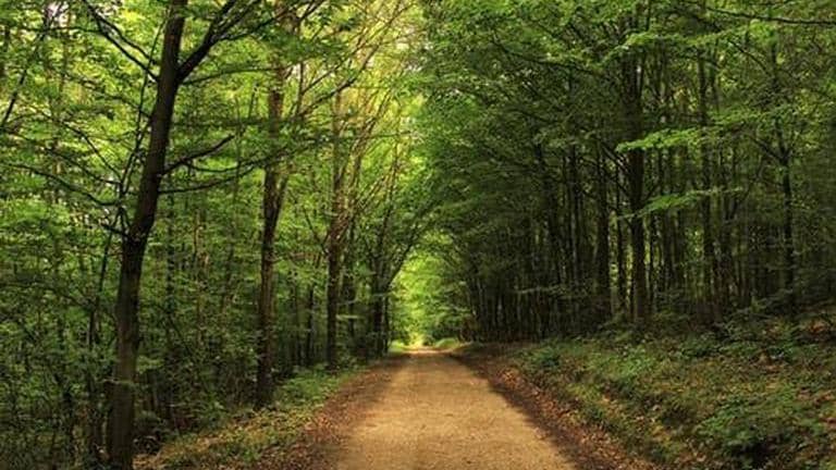 NASA plans to reach exoplanet 4.2 light-years away using Earth's ...