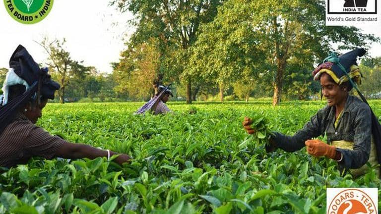 Ingenious Assam festival seeks to blend tea industry with folk culture ...