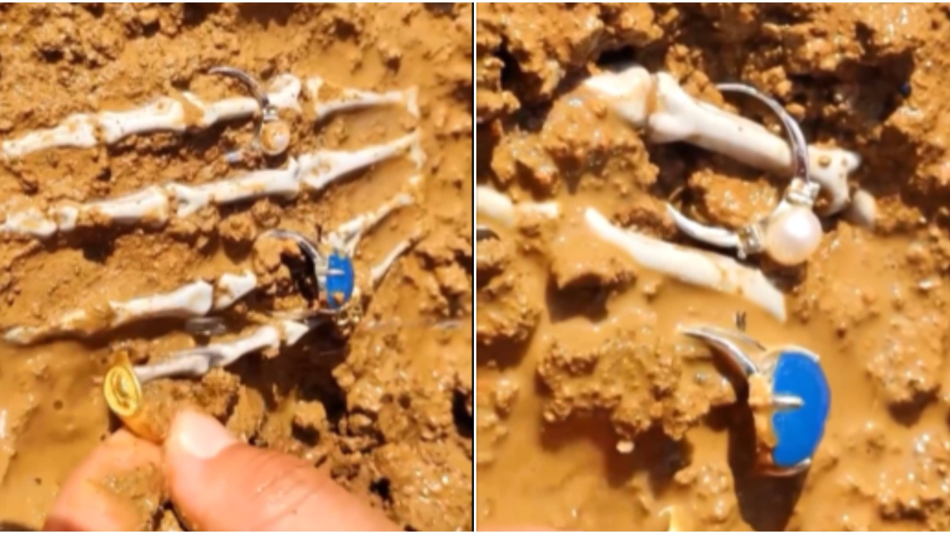 Fake Or Real: Treasure Hunters Discover Rings Attached to Skeleton's ...