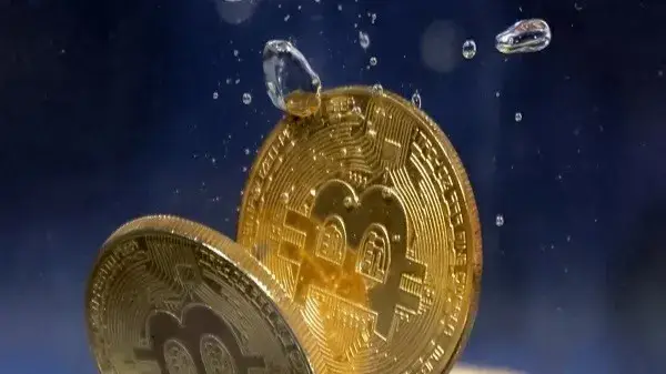 5 Fun facts about crypto currencies that you should know | Republic World