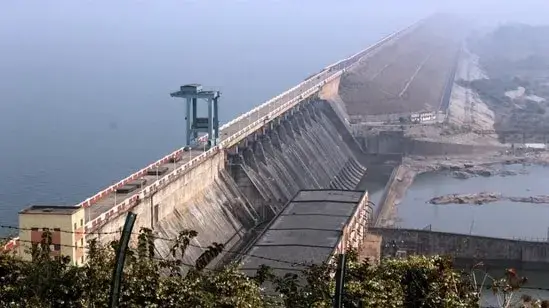 Odisha: New freshwater fish species discovered | Republic World