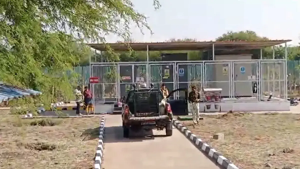 VIRAL VIDEO: Leopard Enters Infosys Office, Forces Neighbouring TCS to ...