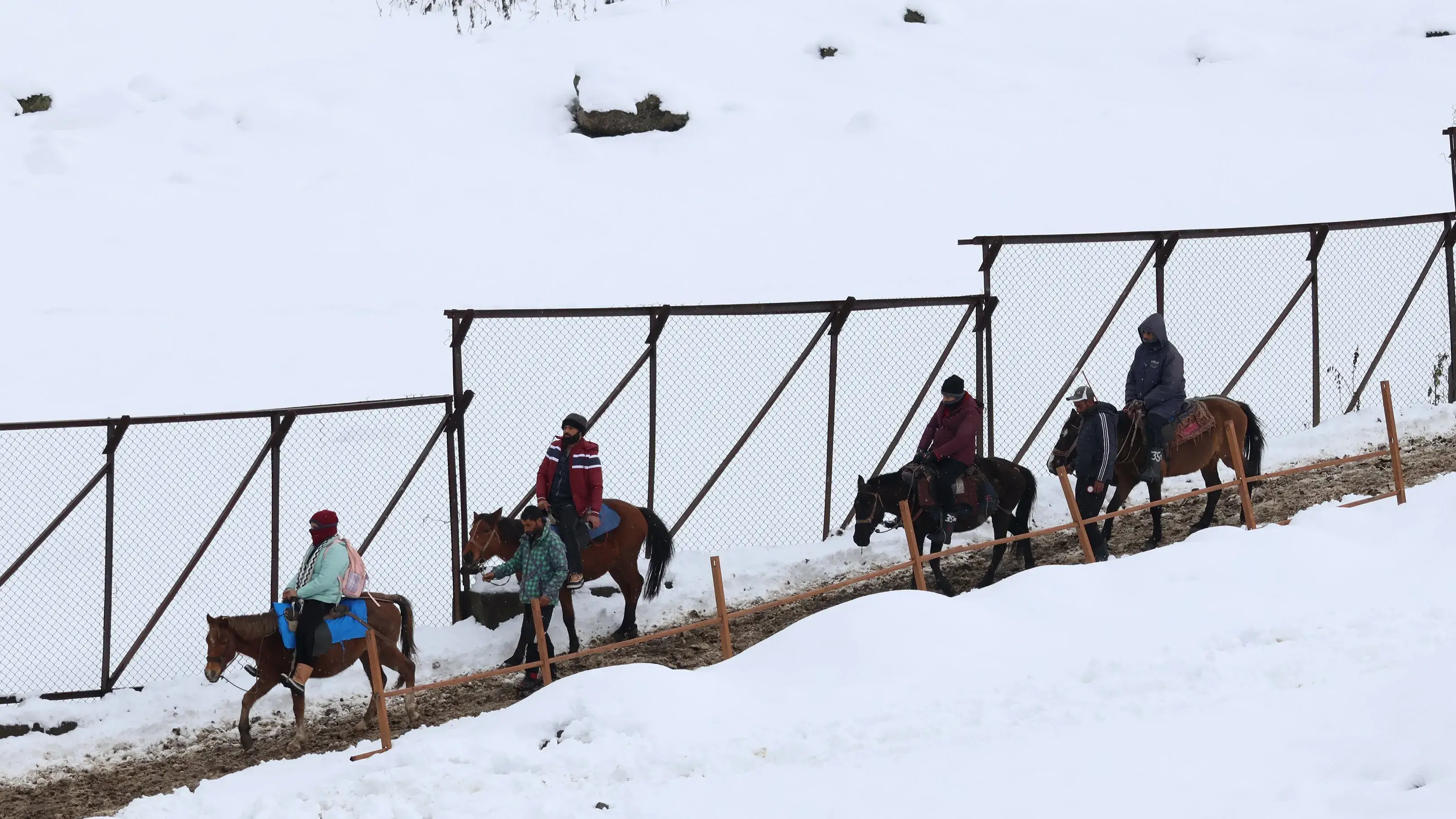 Meadow of Gold: Sonamarg glows with tourist boom, signalling positive ...
