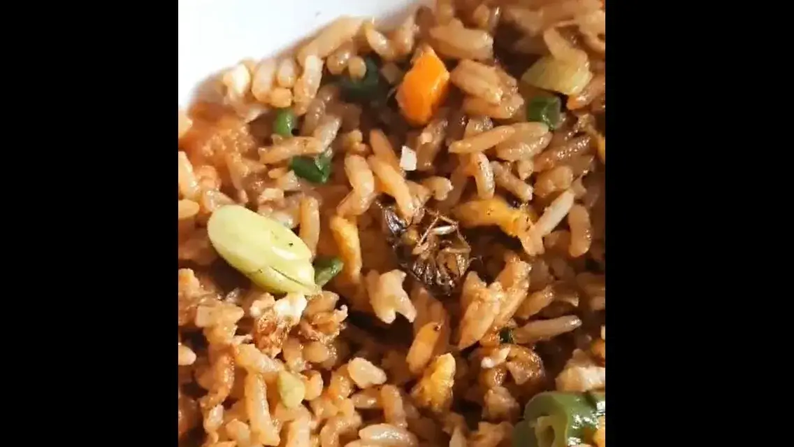 Bengaluru woman receives cockroach in Biryani ordered from Zomato ...