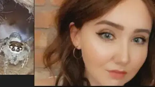 UK Woman's disturbing ordeal as spider found in her Ear – Know more ...