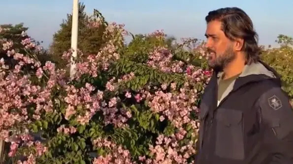 MS Dhoni celebrates Republic Day by hoisting massive flag at his Ranchi ...