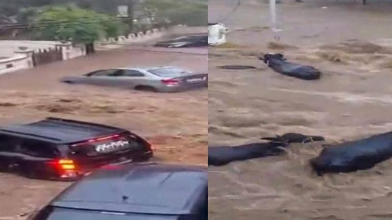 Heavy rains trigger flash floods in Gujarat’s Junagadh; IMD issues ‘red ...