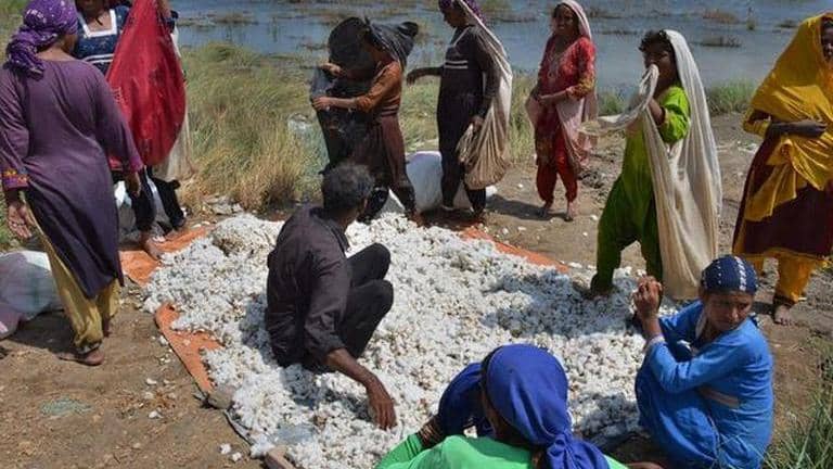 World Bank says that Pakistan makes inadequate investment in human ...